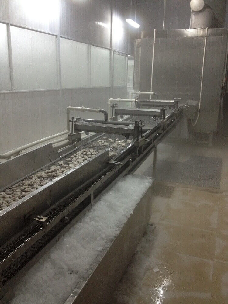 Shrimp Processing line- Yurnfreeze Equipment Co., Ltd